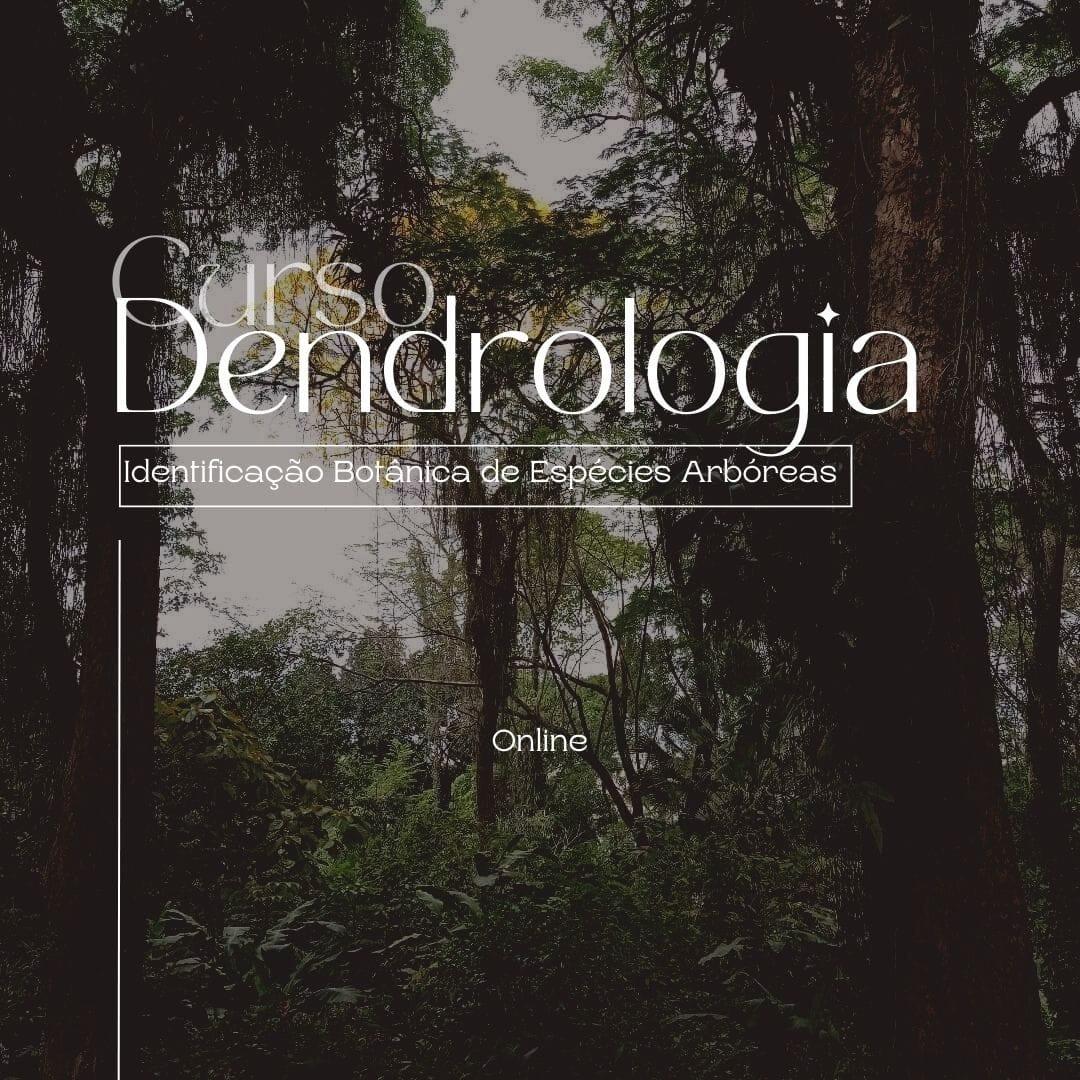 Curso Dendrologia - Programa de Acompanhamento de Egressos do Curso de Gestão Ambiental do ITR/UFRRJ